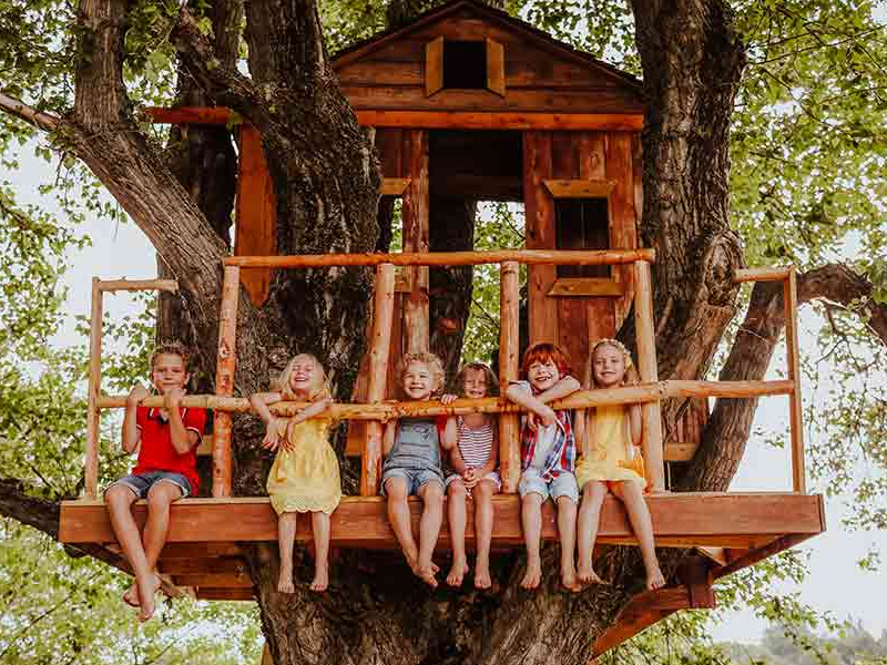 Casuta in copac: Idei si sfaturi practice pentru constructie | MASIF ...